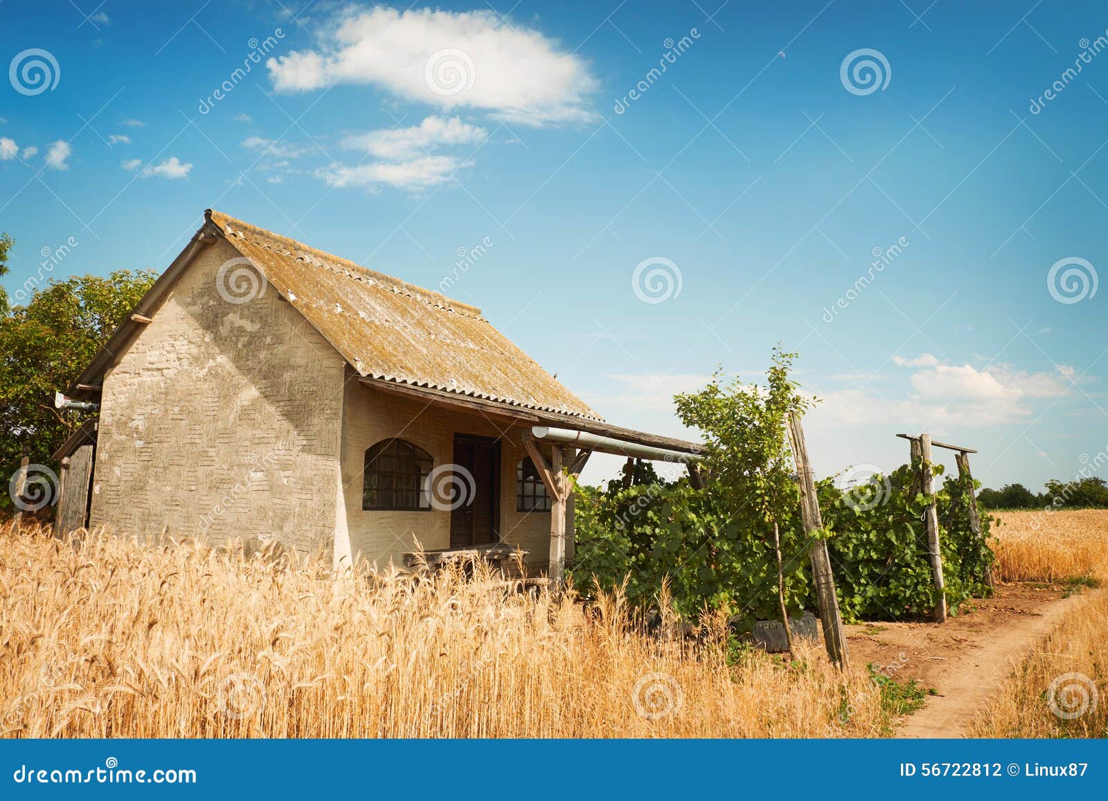 House on field stock photo. Image of agriculture, building - 56722812