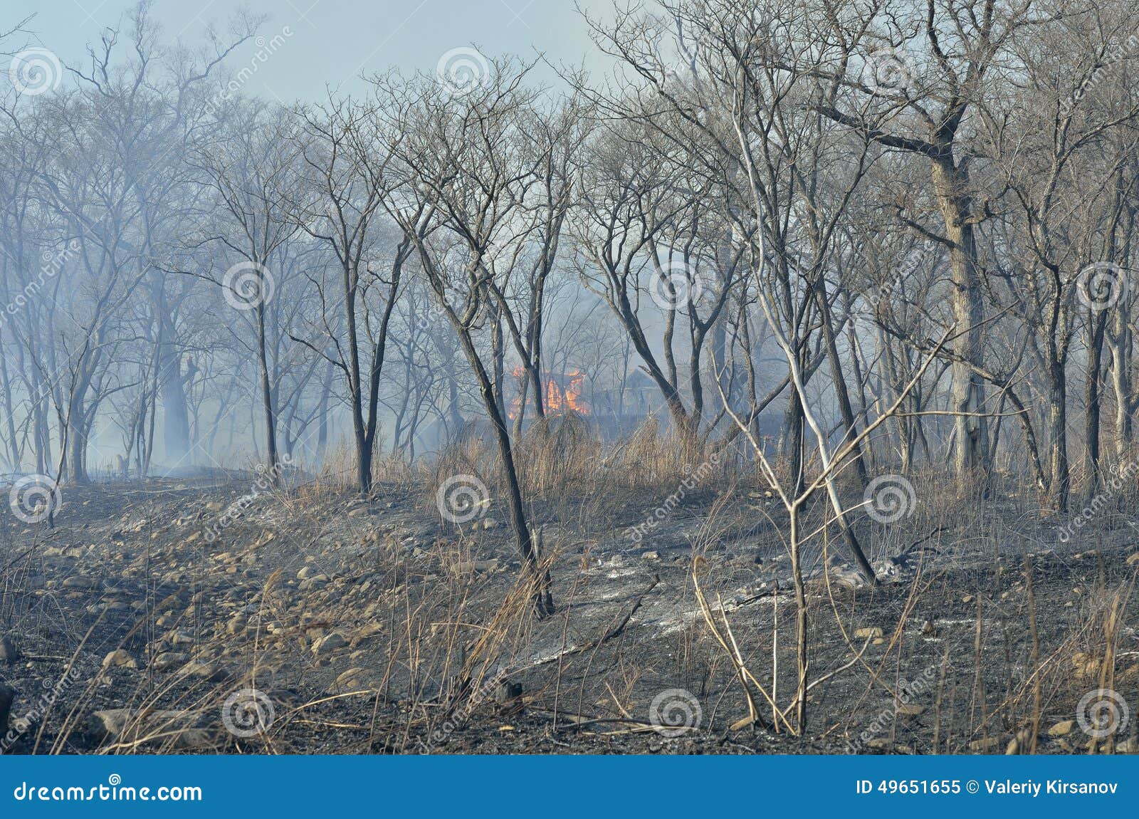House on fire 1 stock image. Image of landscape, heat - 49651655