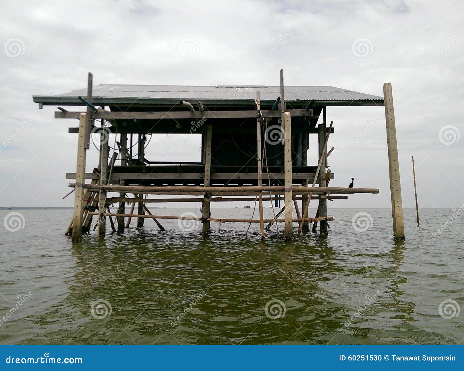 House float on the water stock photo. Image of water - 60251530