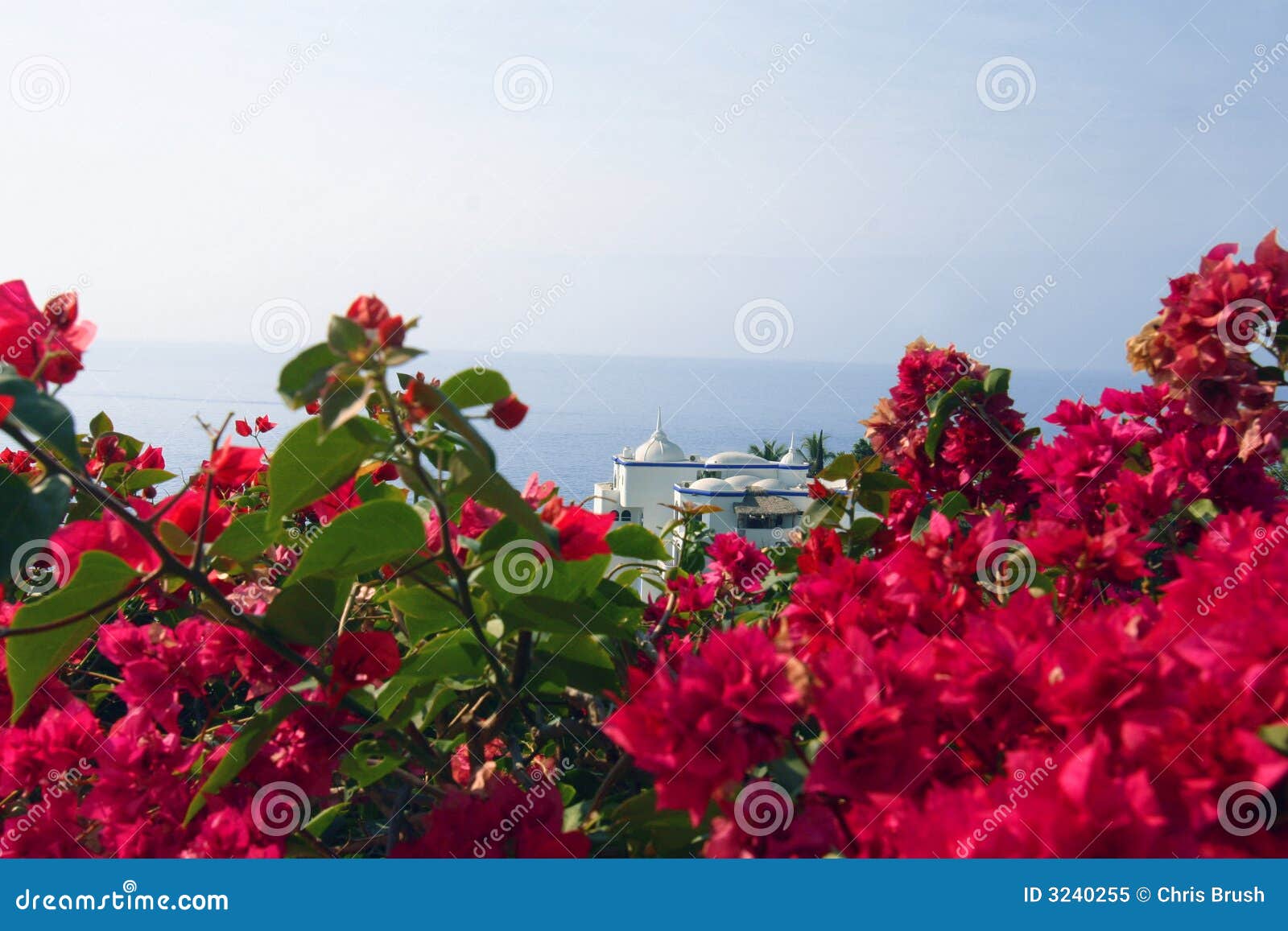 House with Flowers Foreground Stock Image - Image of house, mansion ...