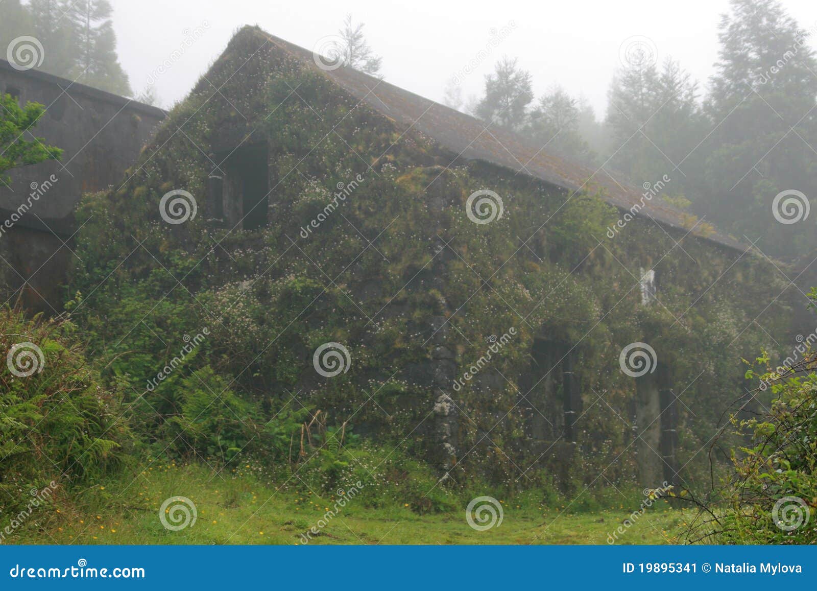 House in fog stock image. Image of scene, grass, silence - 19895341