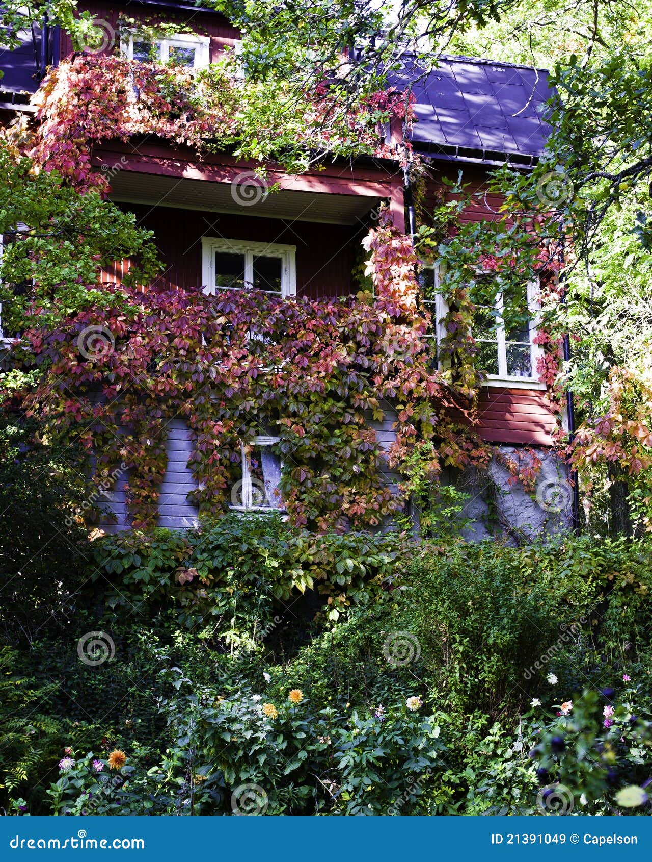 An House in the Forest in Autumn Stock Image - Image of autumn, wood ...