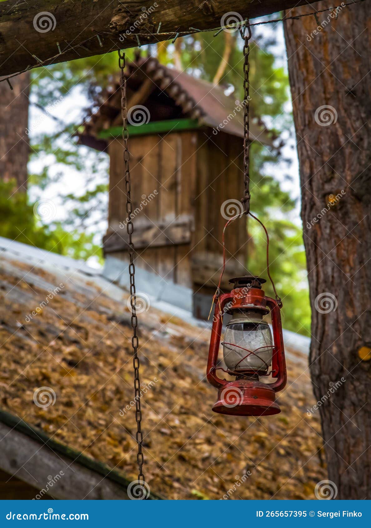 House in the forest stock image. Image of home, estate - 265657395