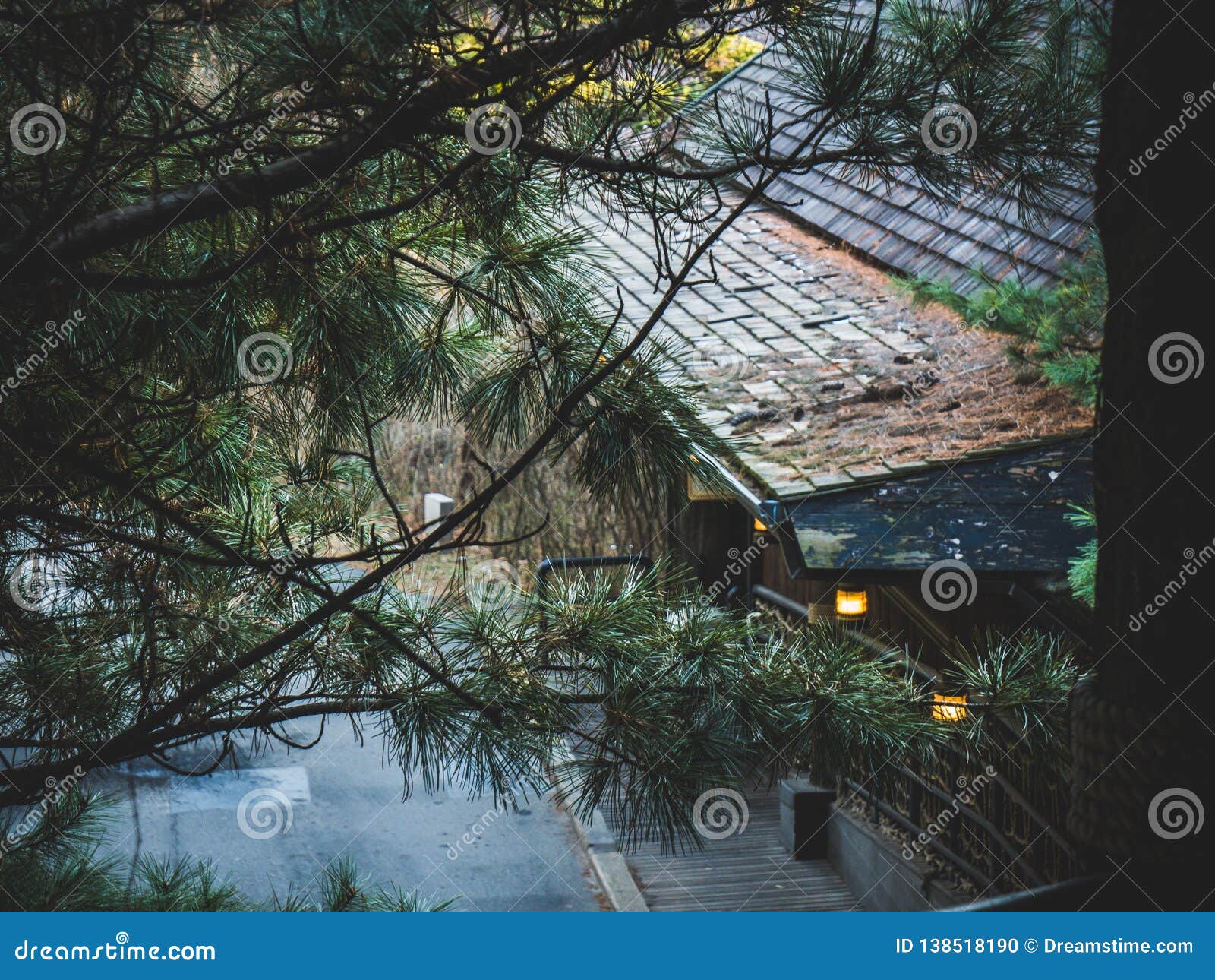 House in the Forest with a View from Behind the Trees Stock Photo ...