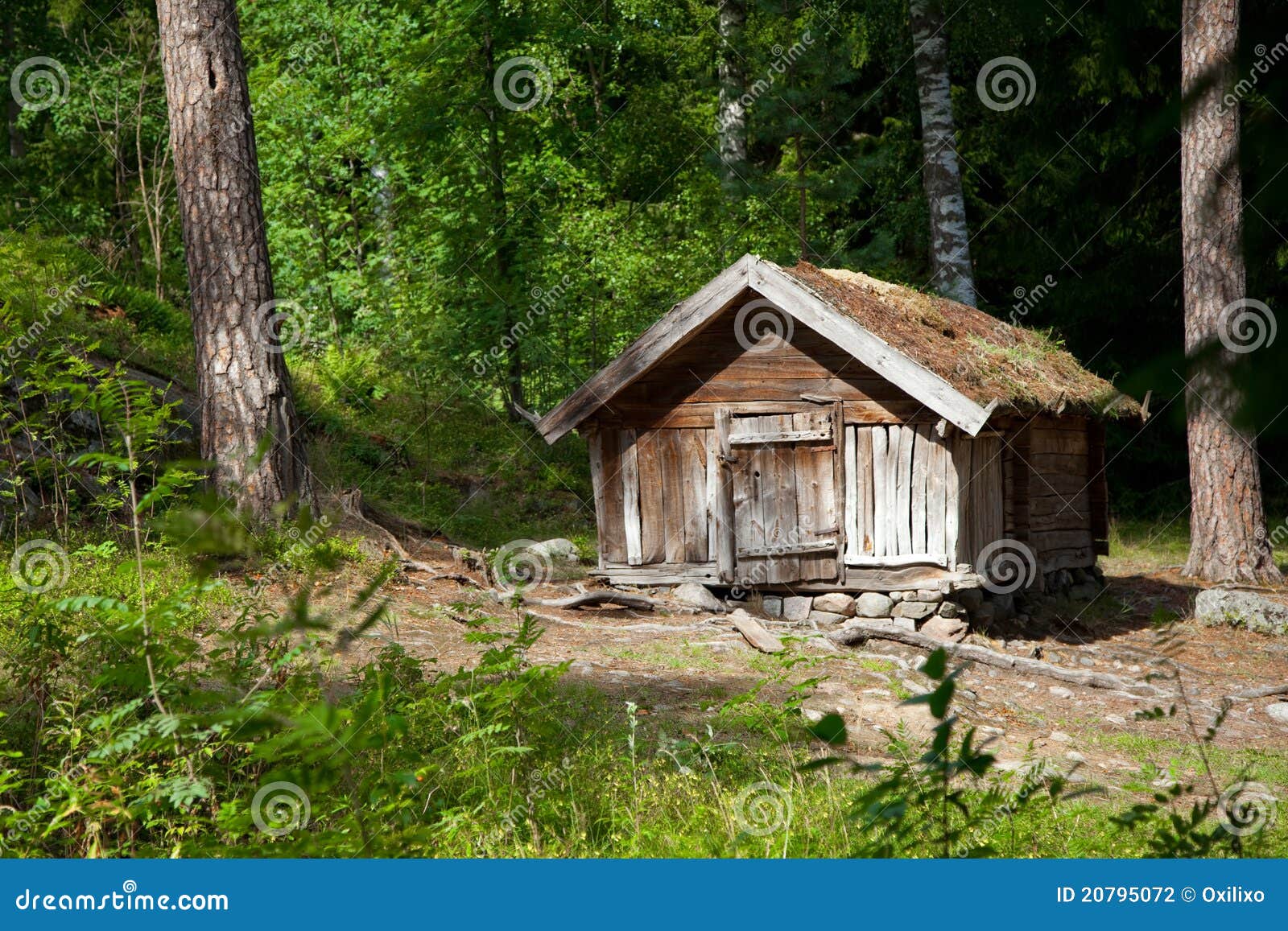 House of forester stock photo. Image of wooden, small - 20795072