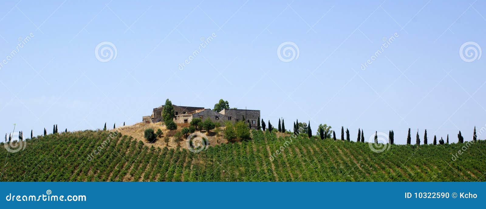House on grapevine hill stock photo. Image of home, grapes - 10322590