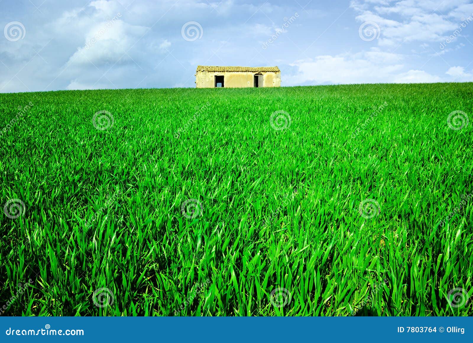 House with green grass stock photo. Image of harvest, farmhouse - 7803764