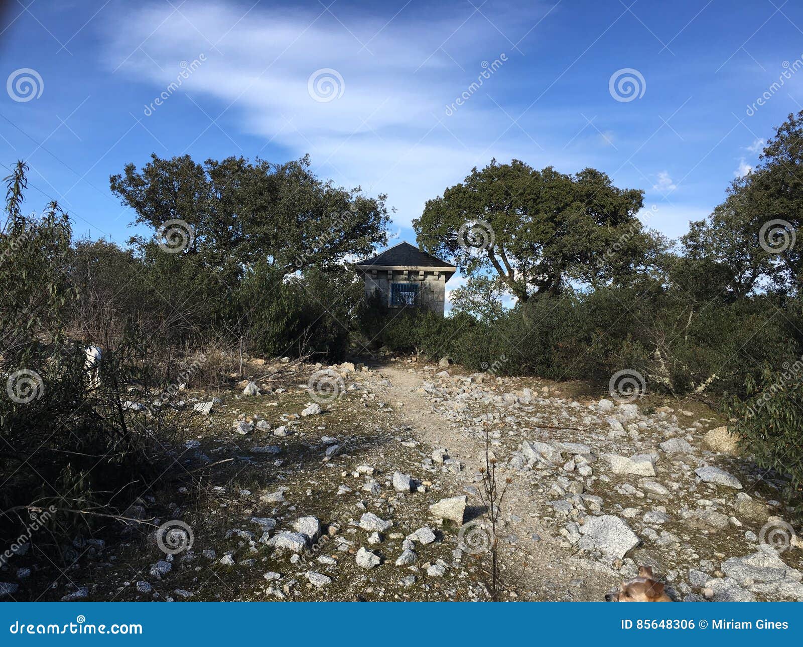House on ground stock photo. Image of house, trees, blue - 85648306