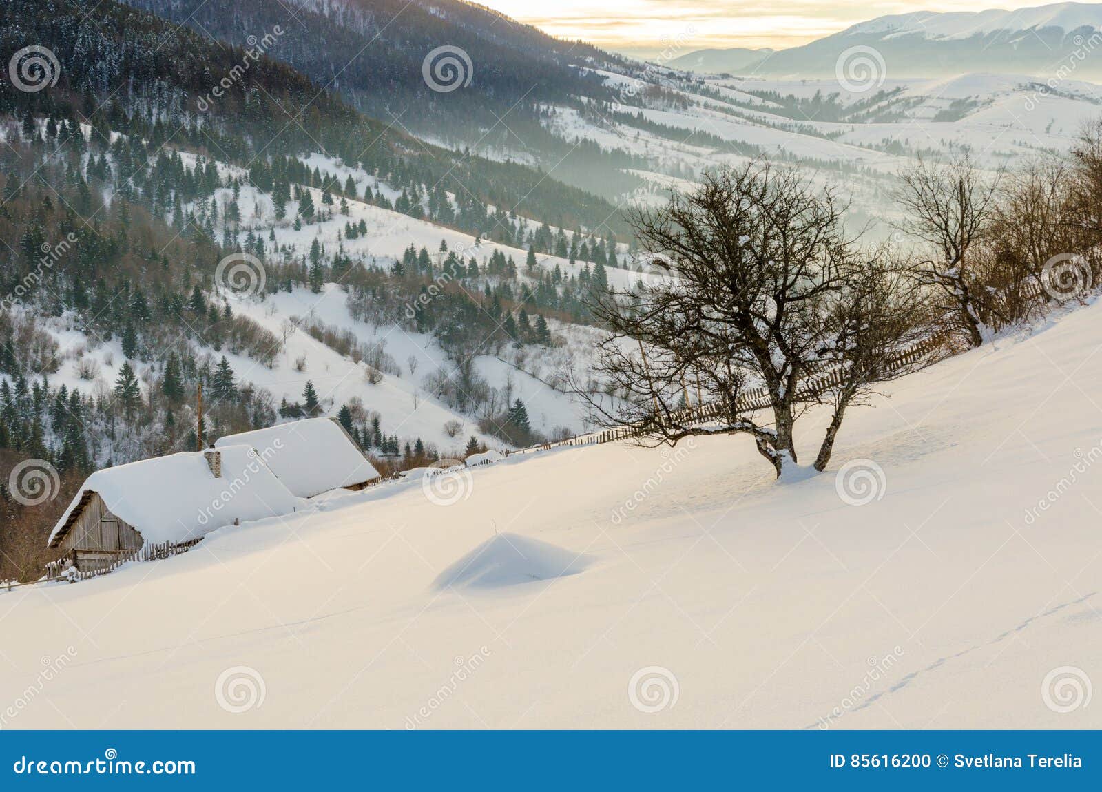 House on a Hillside Covered with Snow and Green Trees on the Sid Stock ...