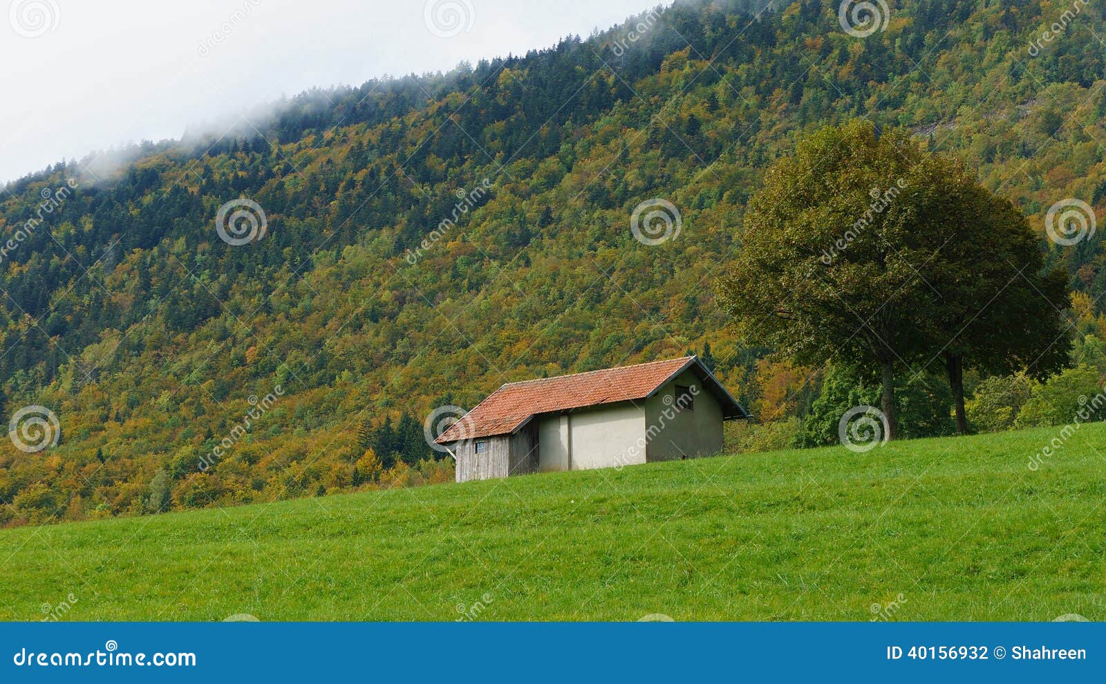 House at Hillside in Europe. Stock Photo - Image of grass, alps: 40156932