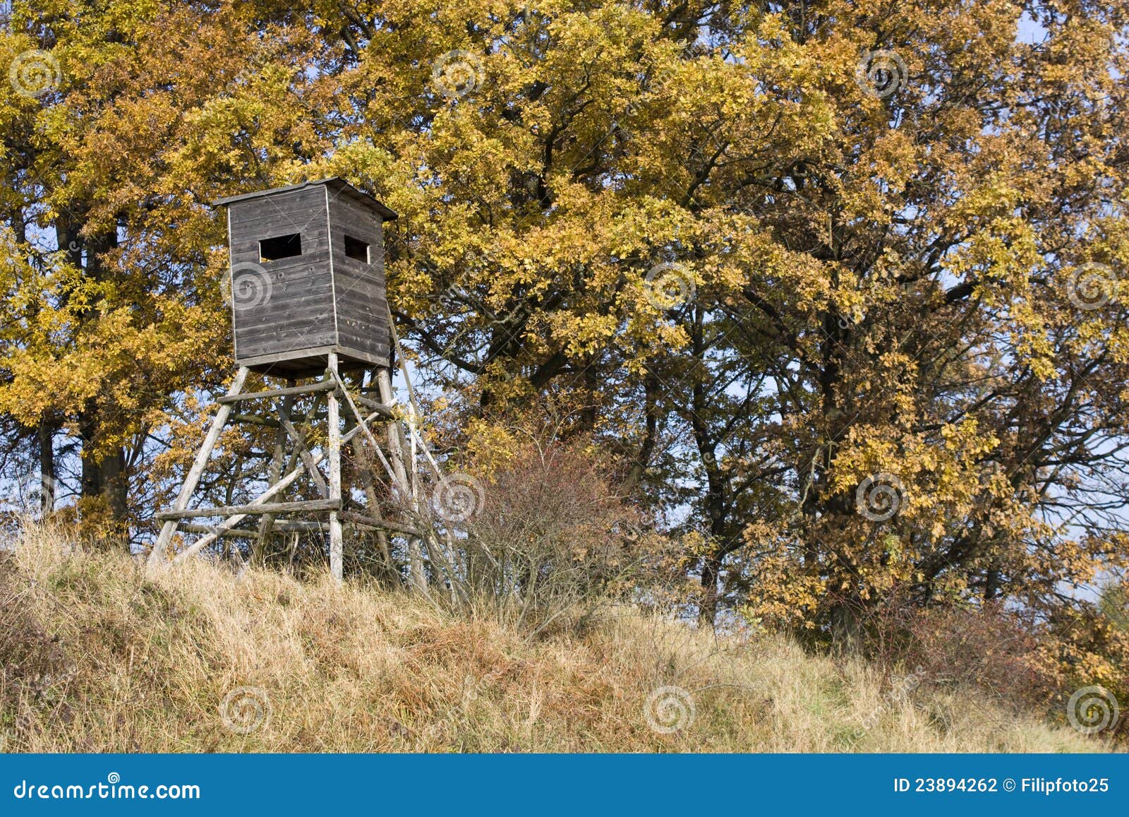 House hunting stock photo. Image of pastoral, path, agriculture - 23894262