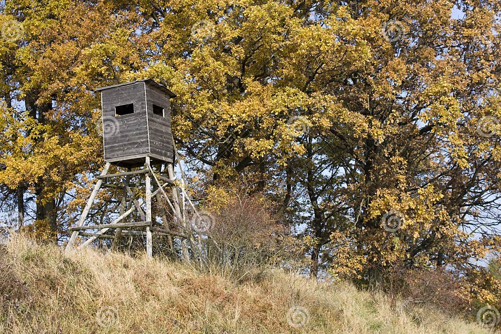 House hunting stock photo. Image of pastoral, path, agriculture - 23894262