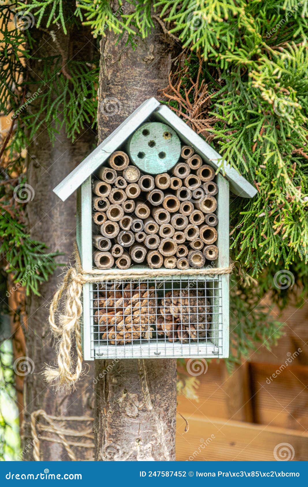 House for Insects. a Flat for Bees Stock Photo - Image of building ...