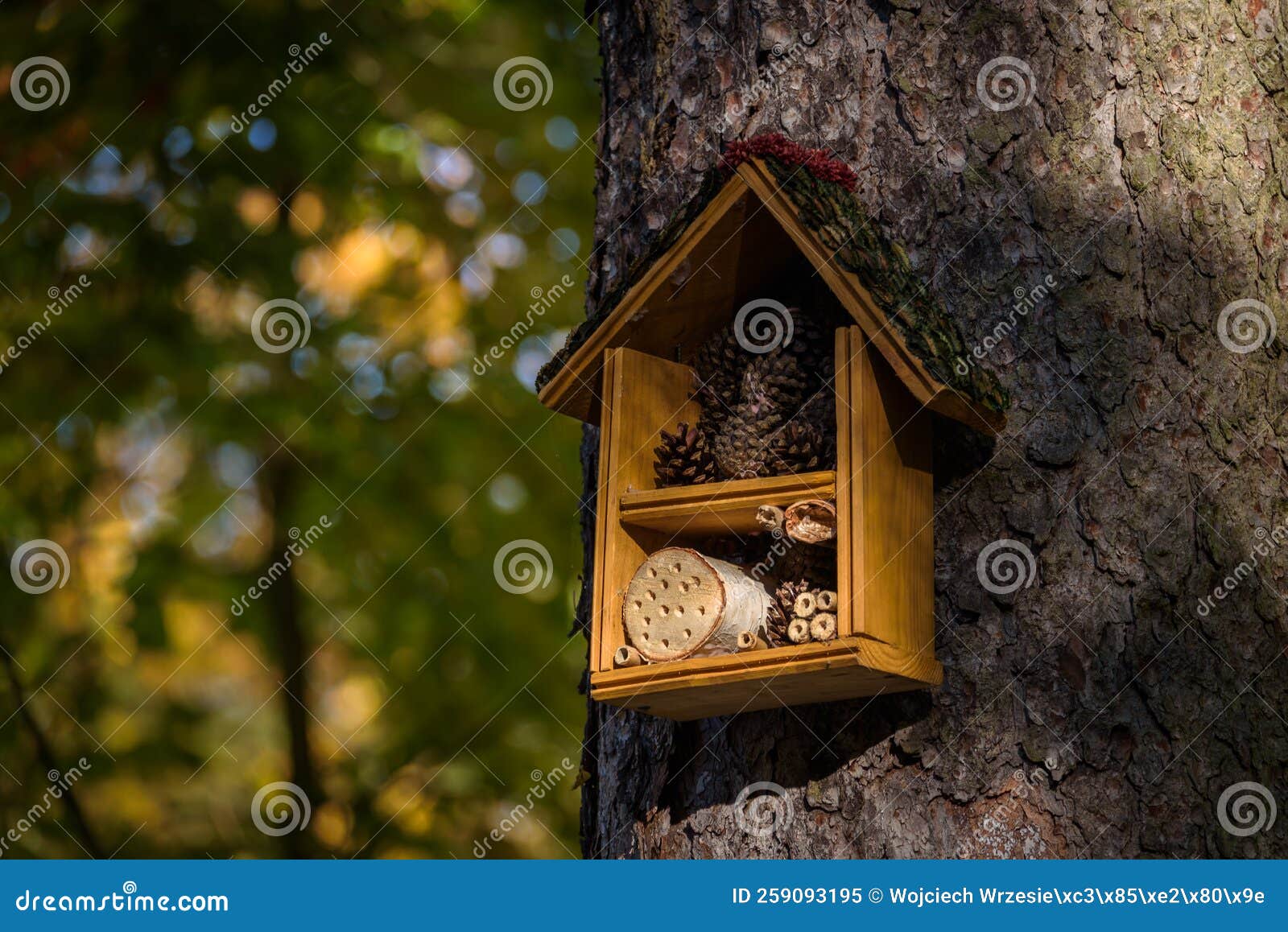HOUSE for INSECTS stock image. Image of macro, architecture - 259093195