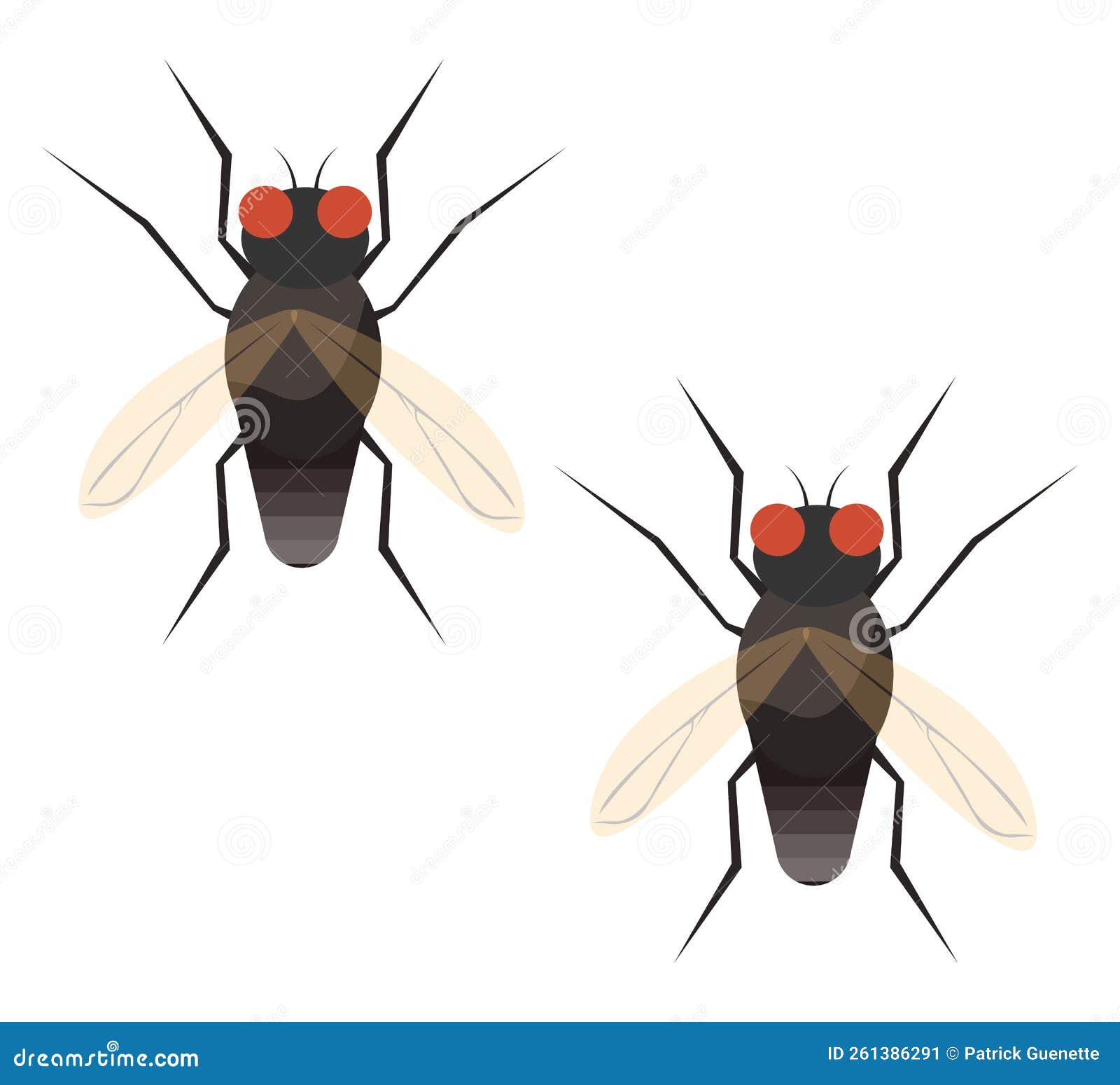 House insects, icon stock vector. Illustration of clipart - 261386291