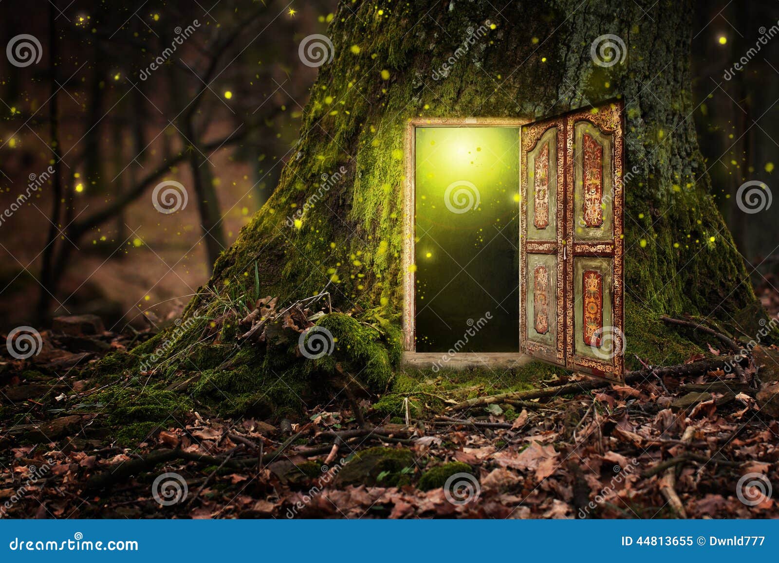 Inside A Tree Royalty-Free Stock Photography | CartoonDealer.com #11187941