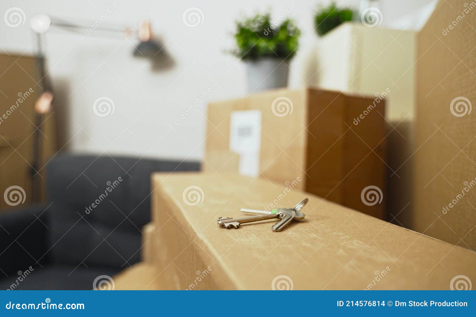 House Key on Cardboard Boxes. Stock Photo - Image of green, packaging ...