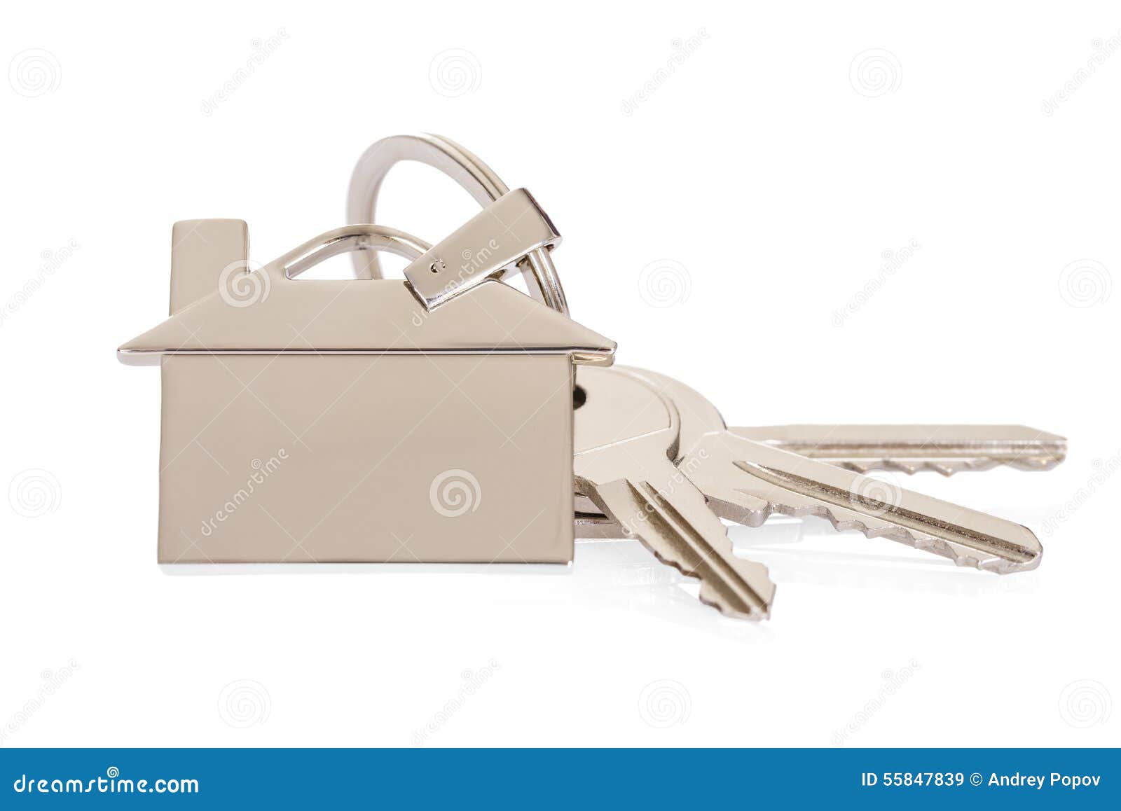 House Key with Keychain stock image. Image of close, isolated - 55847839