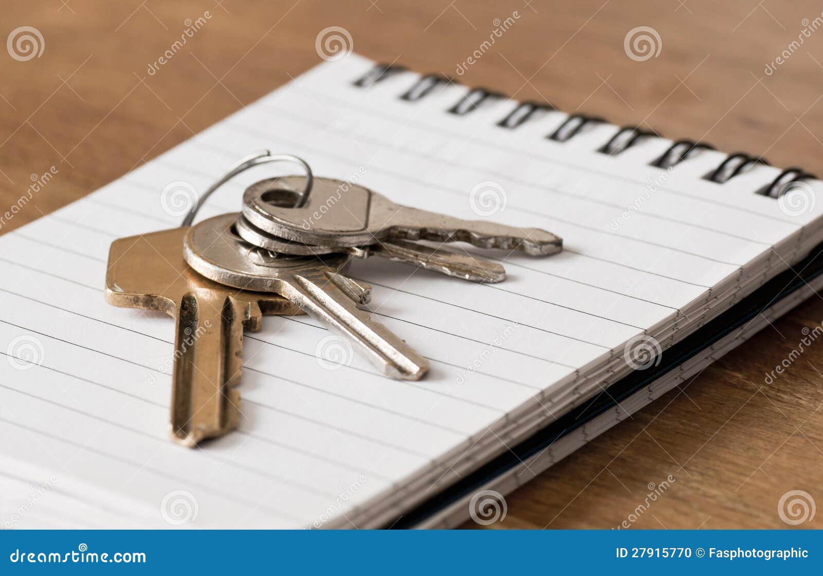 House keys stock photo. Image of locked, kitchen, access - 27915770