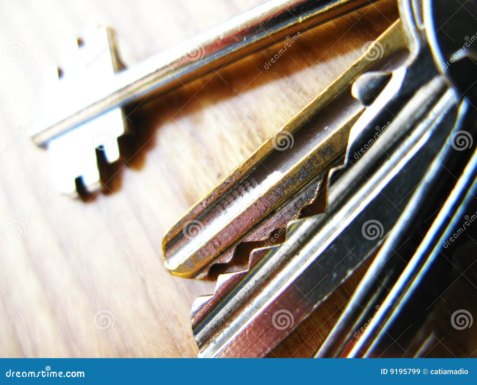 House keys stock image. Image of wood, home, metallic - 9195799