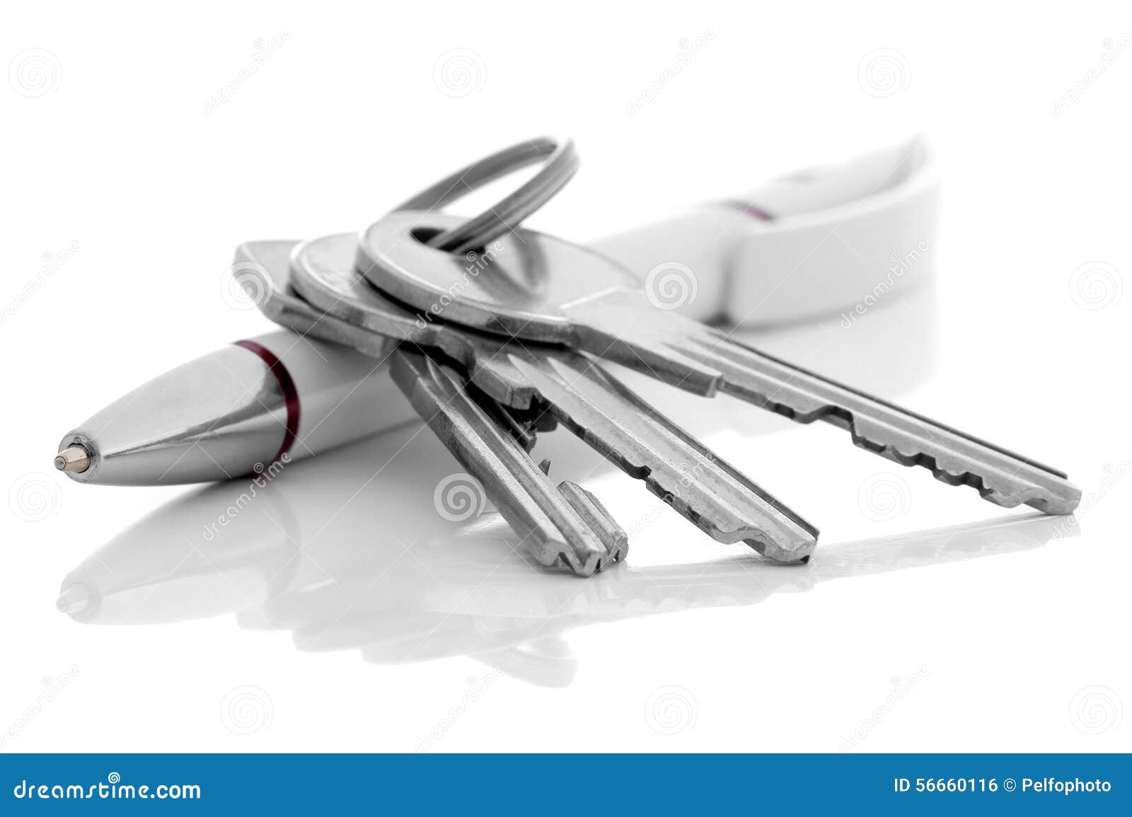 House Keys and Ballpoint Pen. Stock Photo - Image of home, group: 56660116
