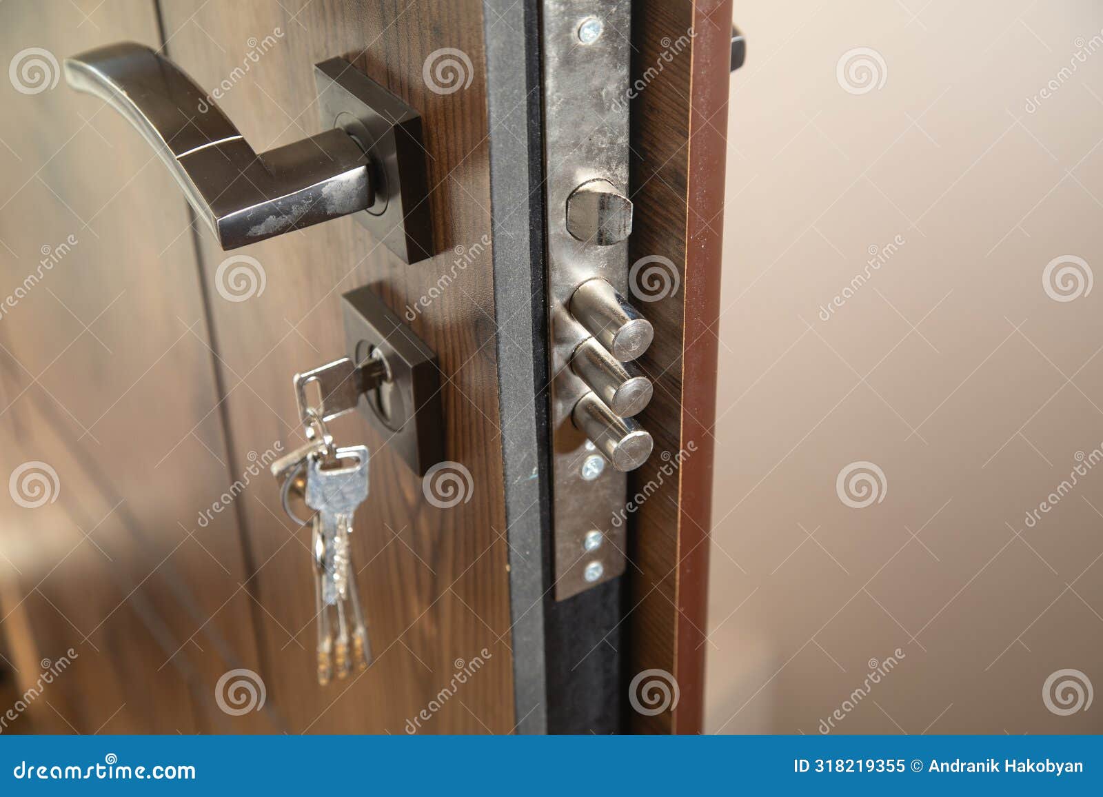 House Keys on the Door. Security Stock Image - Image of enter, access ...