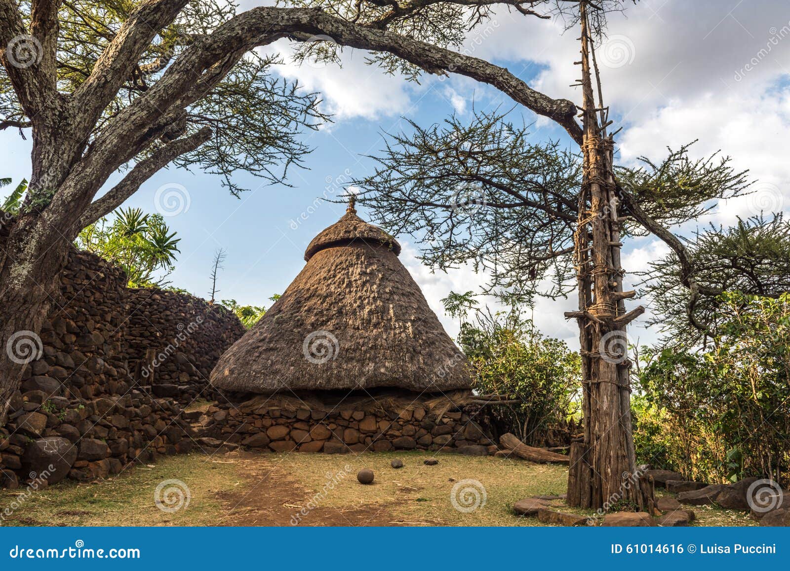 House in a Konso Village with Generations Tree Stock Photo - Image of ...