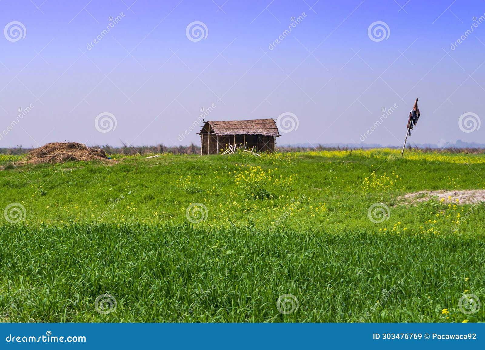 House Made of Reed. Hut Made of Reeds and Bamboo in Field Stock Image ...