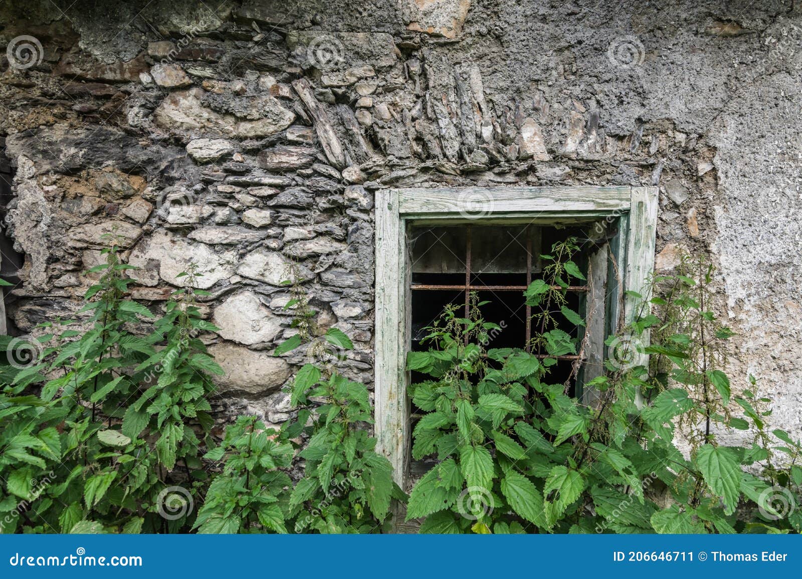 House Made of Stones with a Window and Large Nettles Stock Image ...