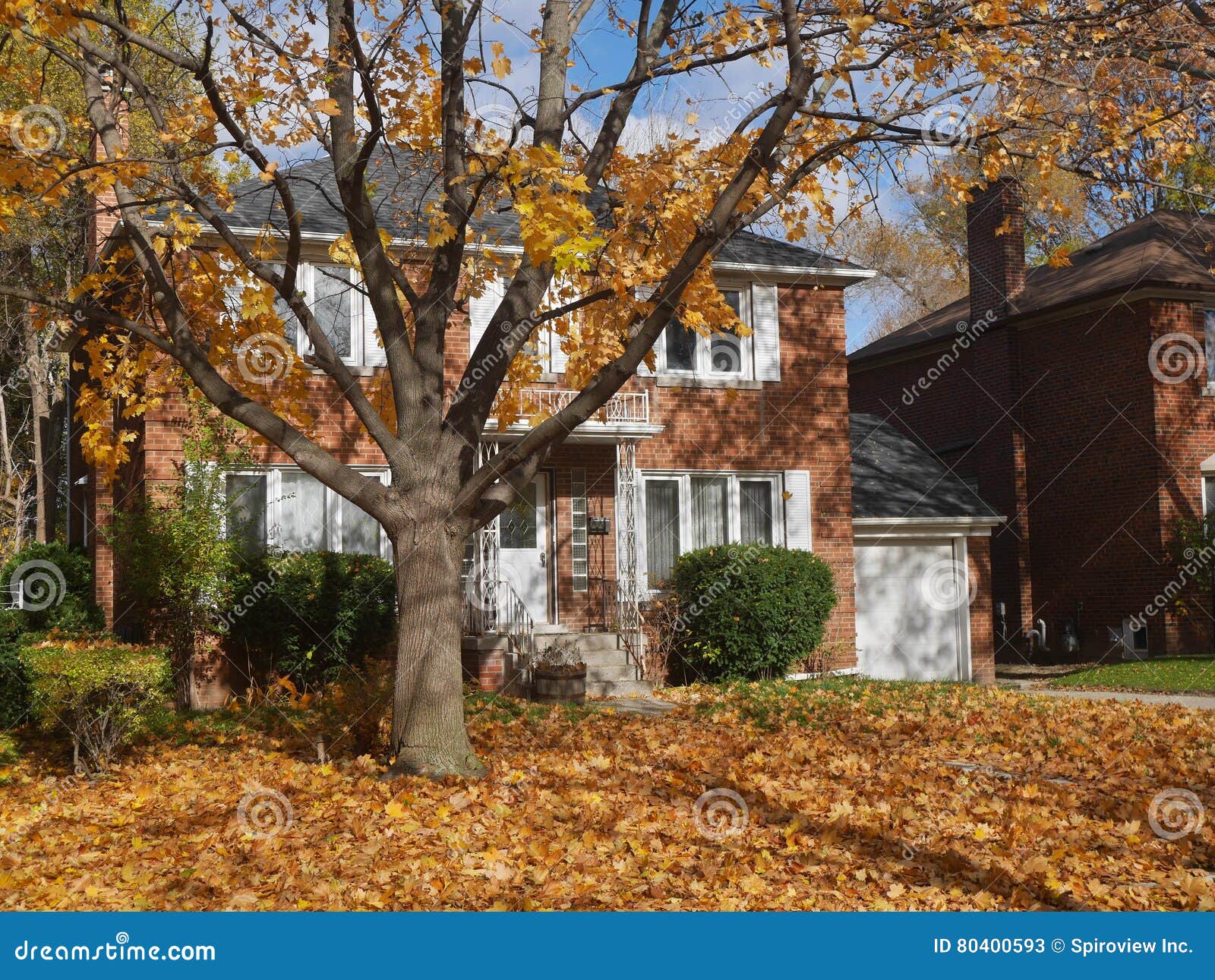 House with Maple Tree and Fall Colors Stock Image - Image of maple ...