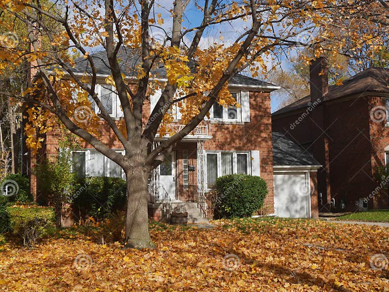 House with Maple Tree and Fall Colors Stock Image - Image of maple ...