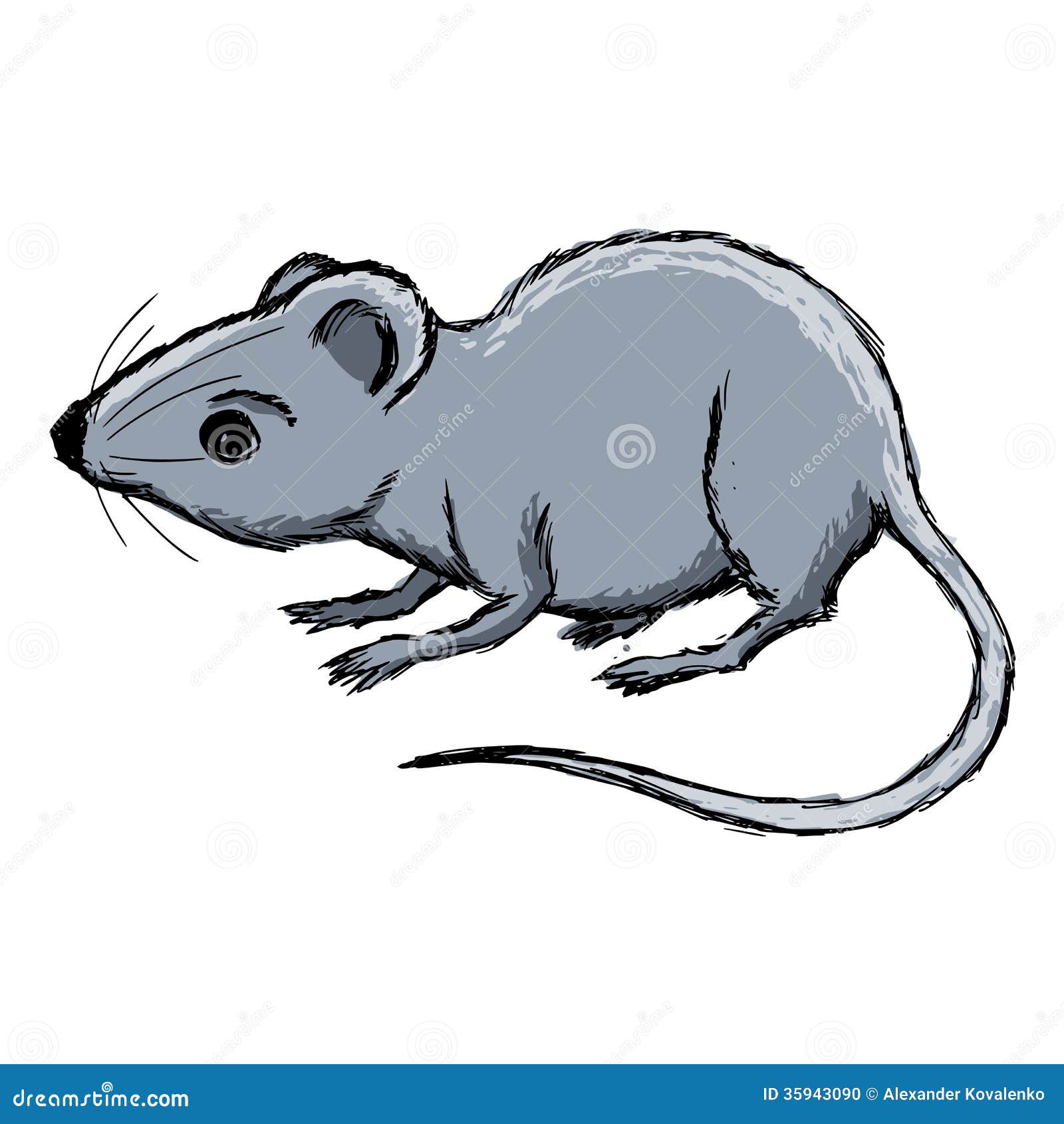 House Mouse Mus Musculus Side View, Hand Painted Watercolor Royalty ...