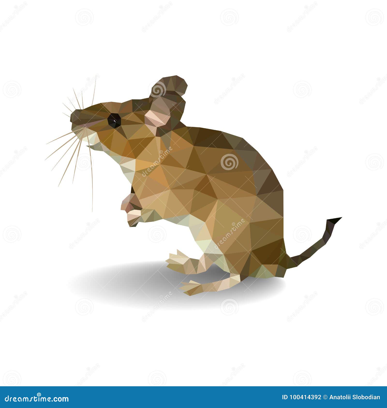 House Mouse polygon stock vector. Illustration of cartoon - 100414392