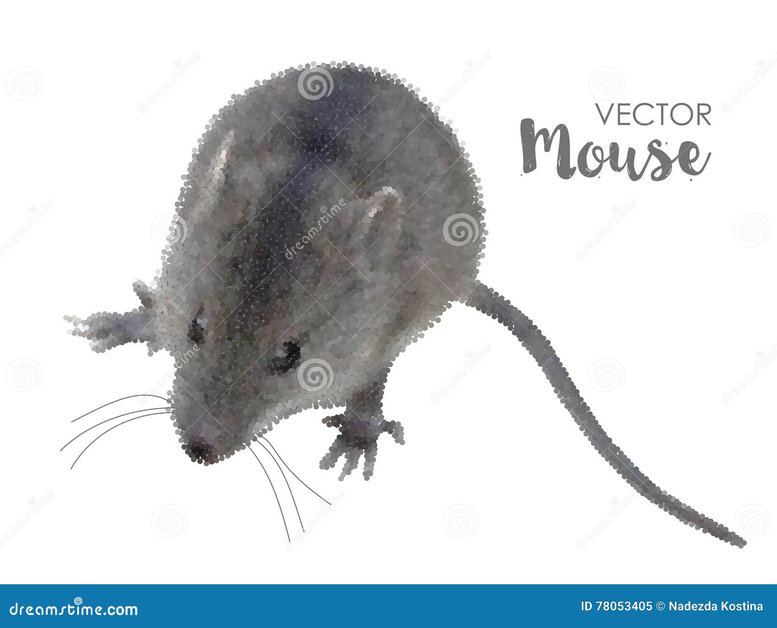 House mouse on white stock vector. Illustration of common - 78053405