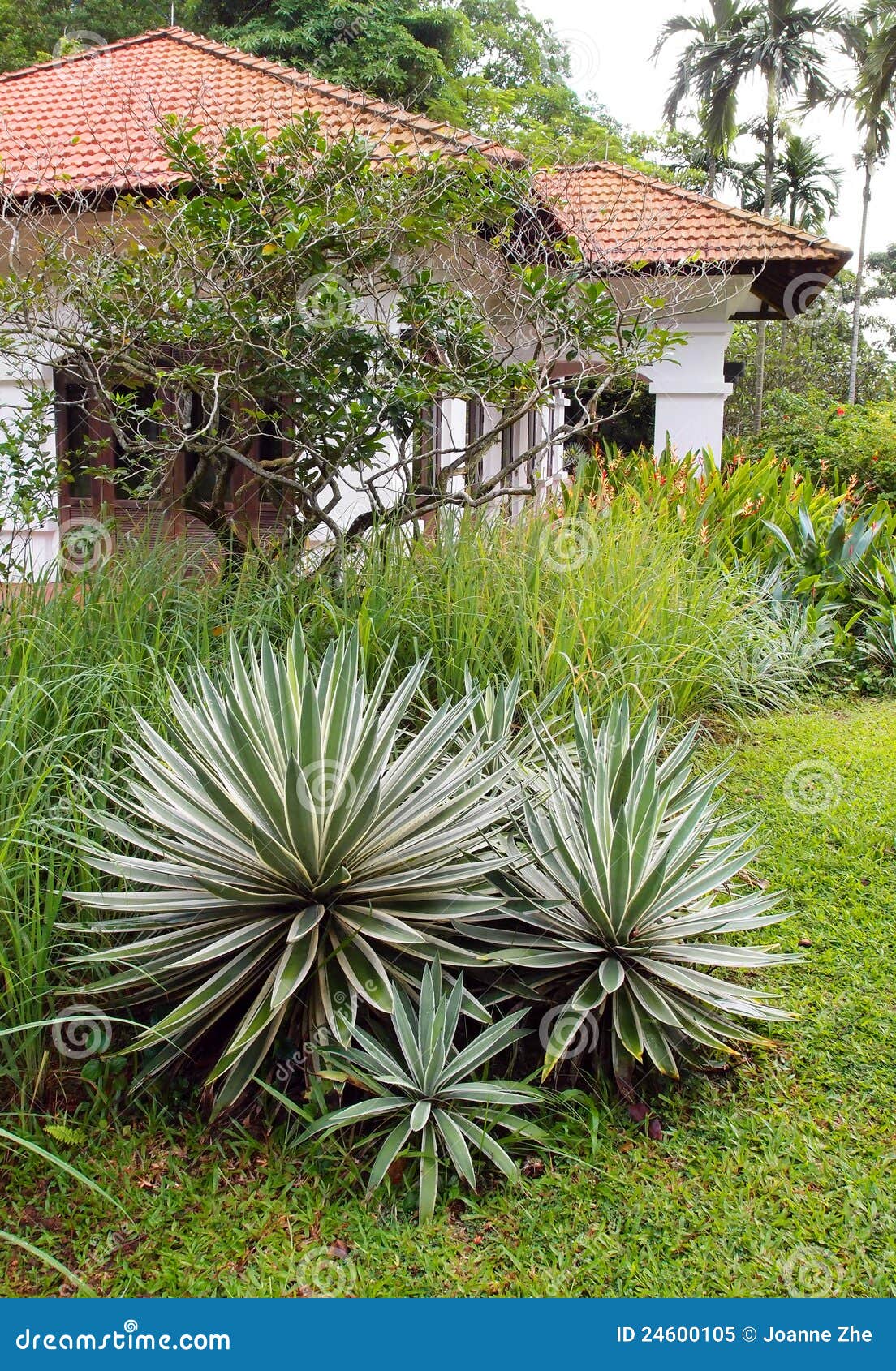 House with Natural Landscaping Design Stock Image - Image of building ...