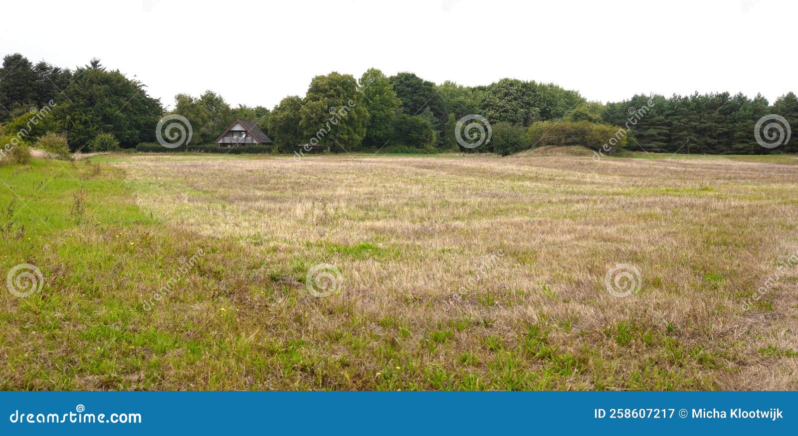 House Next To a Field of Grass Stock Image - Image of lawn, countryside ...