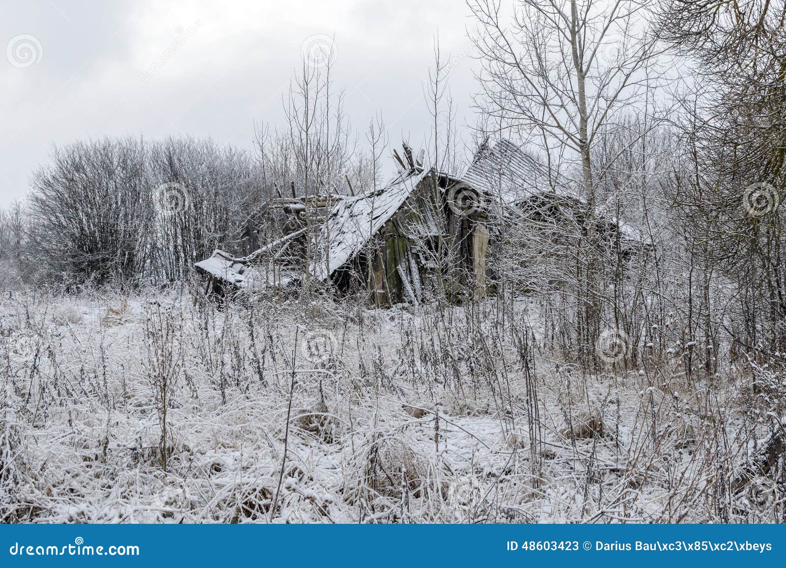 House stock image. Image of snow, snowy, cold, plant - 48603423