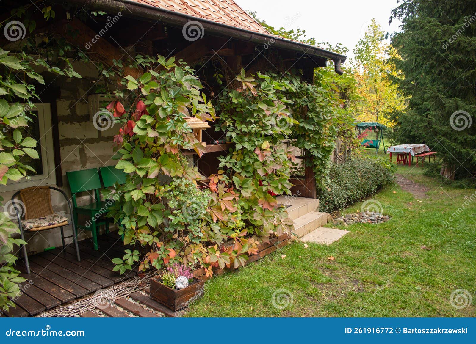A House Overgrown with Colorful Grapevine Stock Photo - Image of flower ...