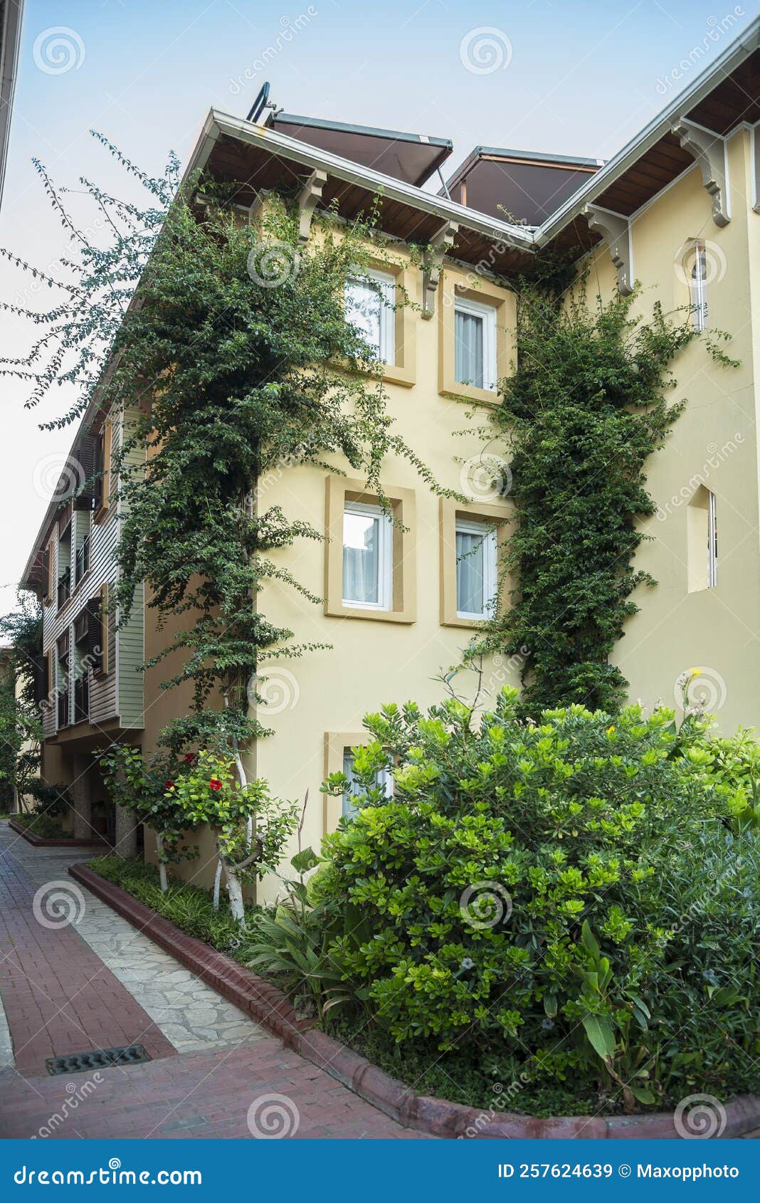 House Overgrown with a Greenery and Flowers Stock Image - Image of home ...