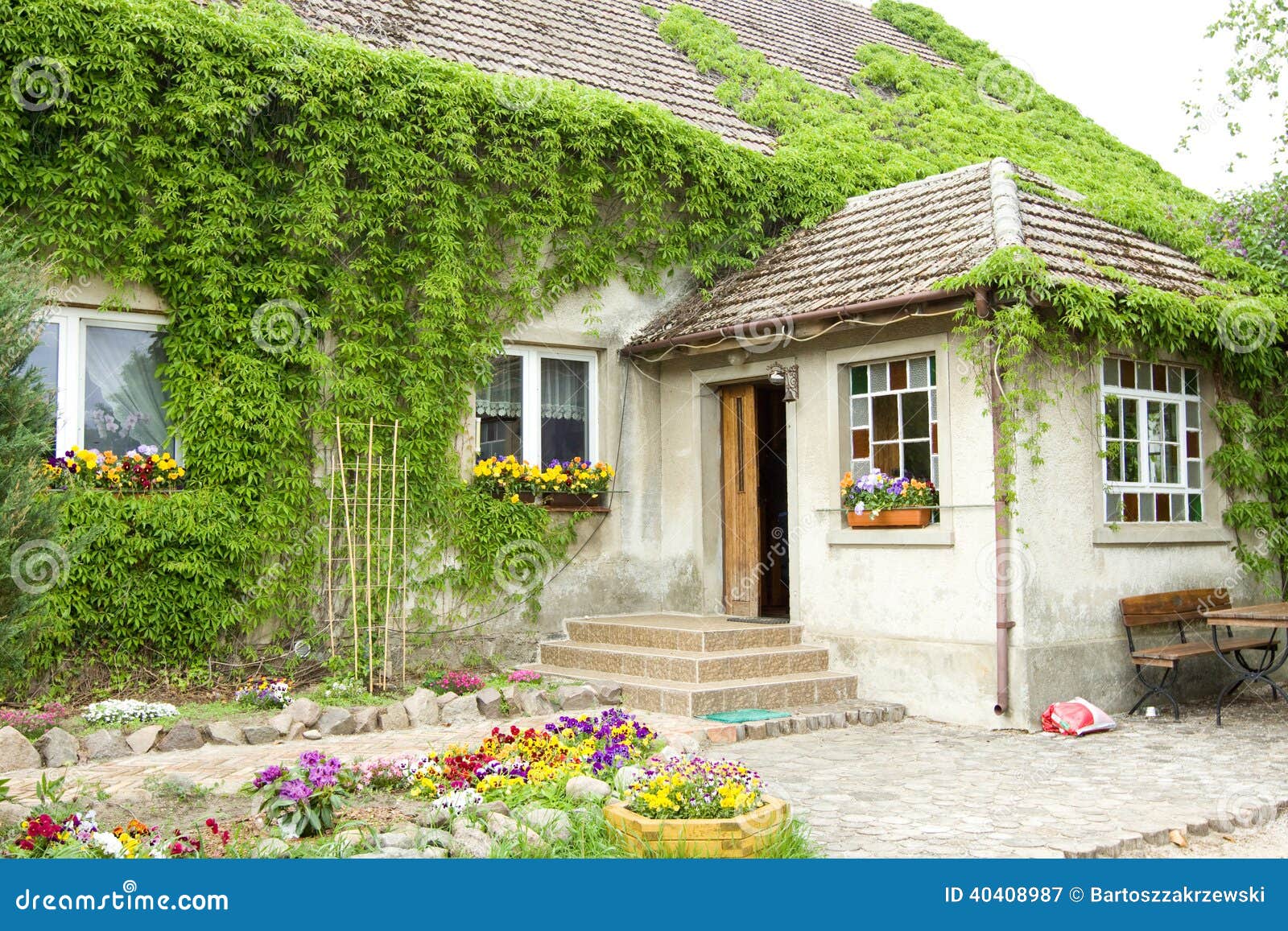 An Old House Overgrown With Ivy, Roof Of The House Is Completely ...