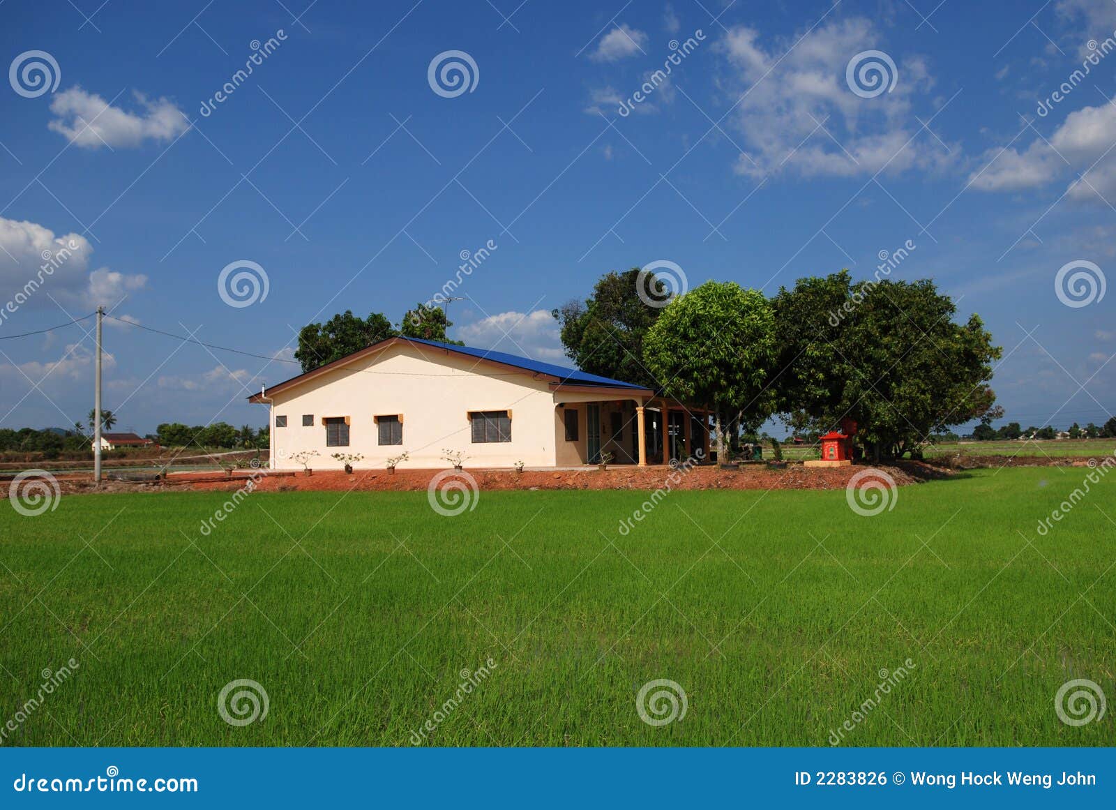 House, Paddy Field Countryside Stock Photo - Image of farms, fields ...