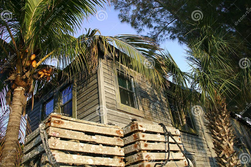 House and palm trees stock image. Image of tropical, home - 1101383