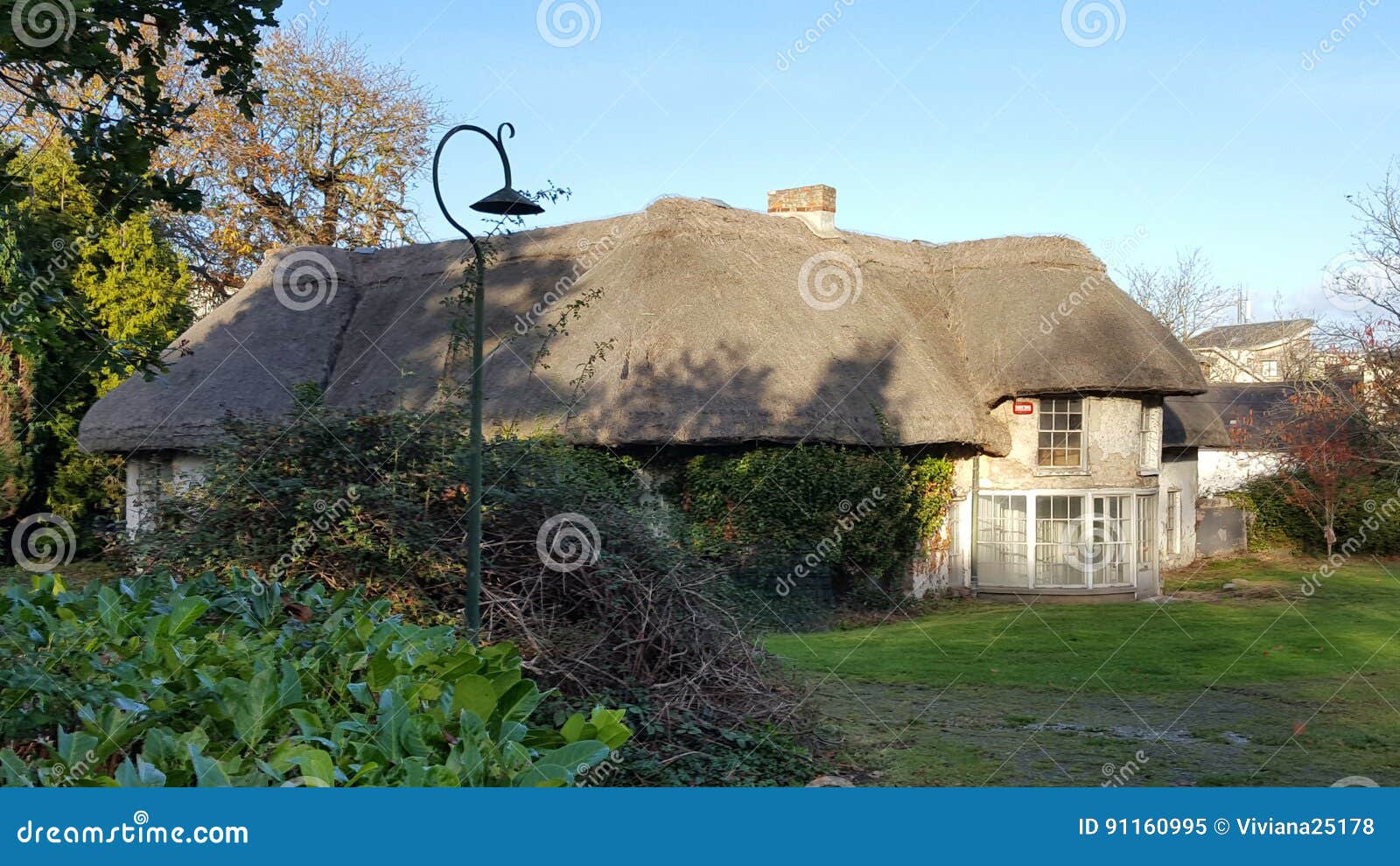 House Park Stray Roof Photos - Free & Royalty-Free Stock Photos from ...