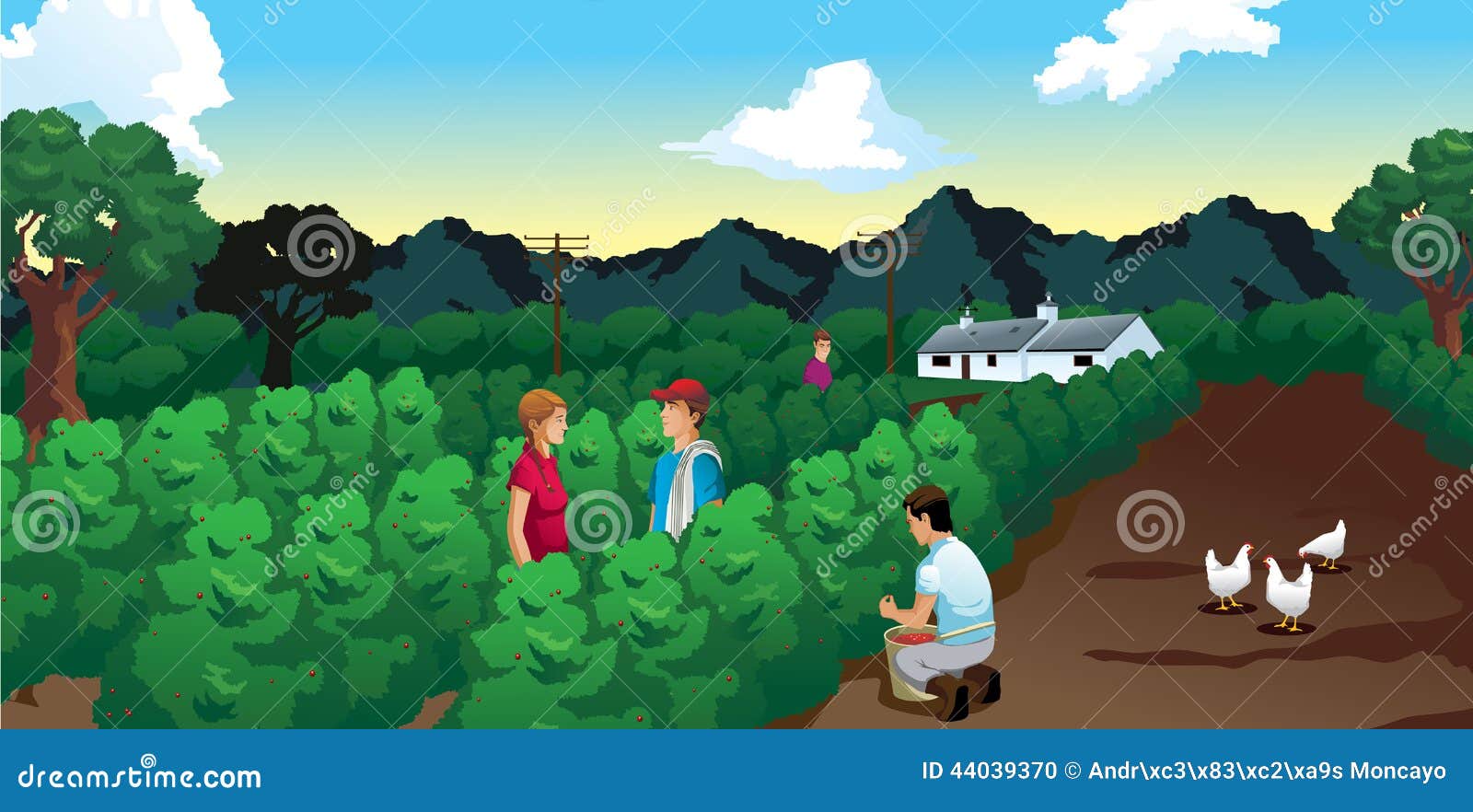 House and Persons in a Field of Coffee Stock Vector - Illustration of ...