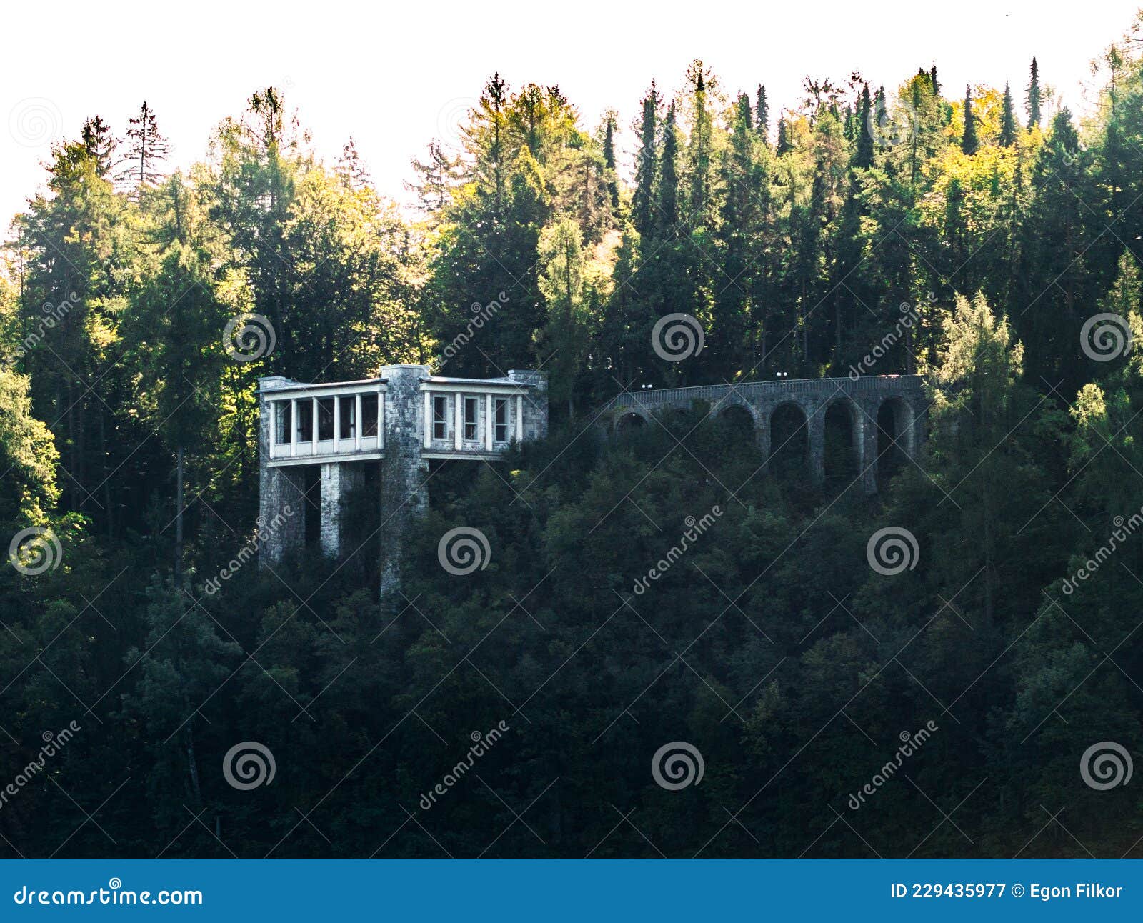 House on Pillars in the Forest Stock Image - Image of sunlight, house ...