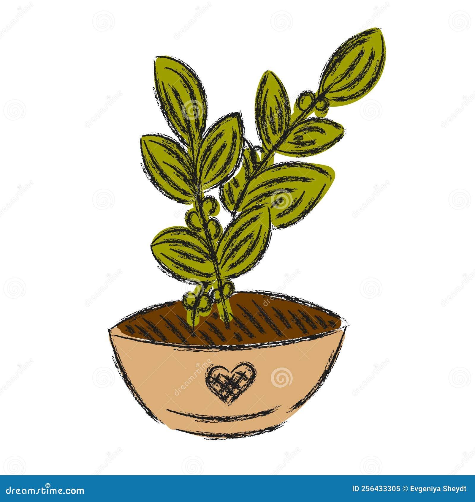 House Plant Pot Vector Illustration. Colored House Plant in Pot for ...