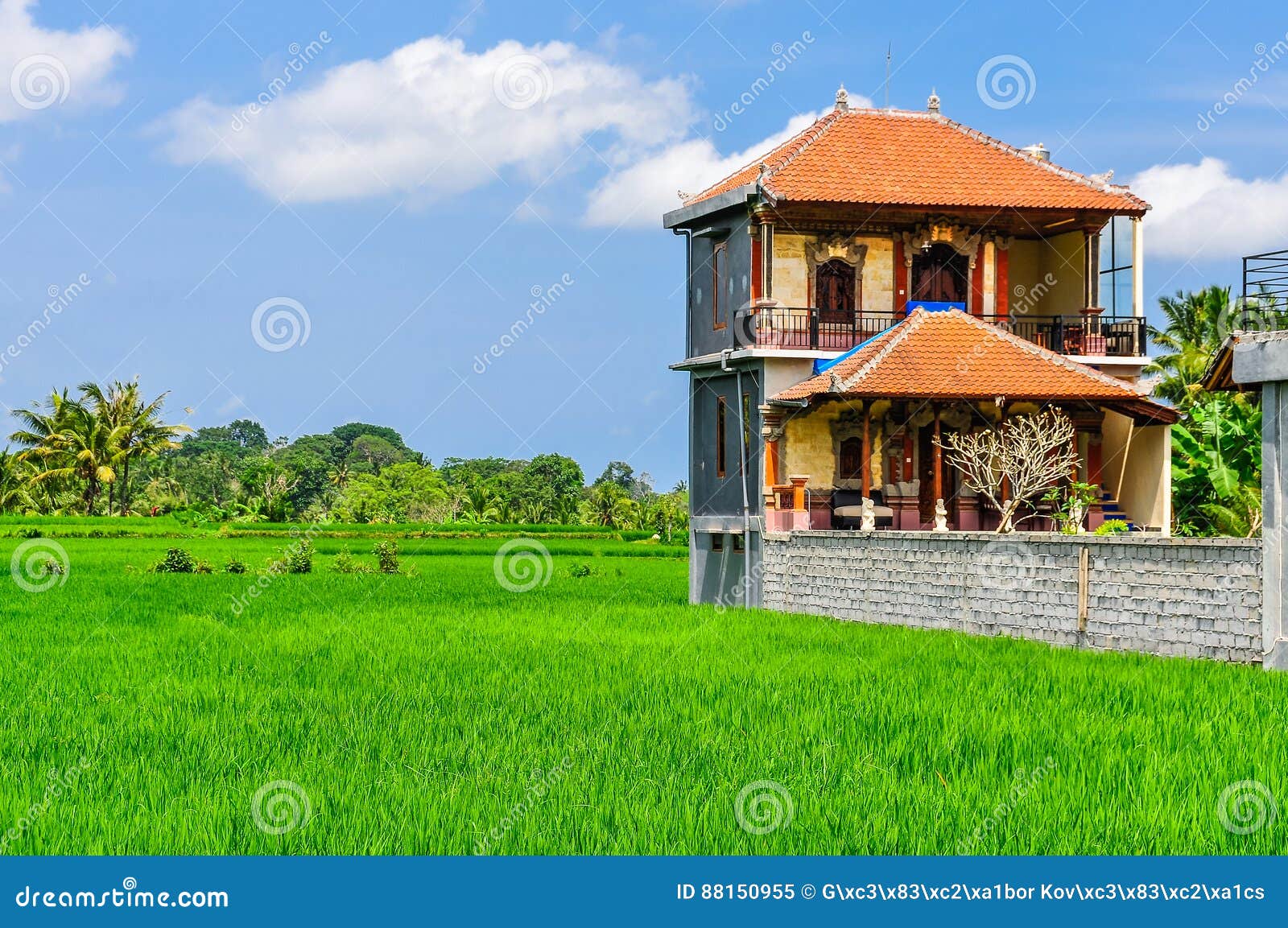 House in Rice Field in Ubud, Bali Stock Image - Image of indonesia ...