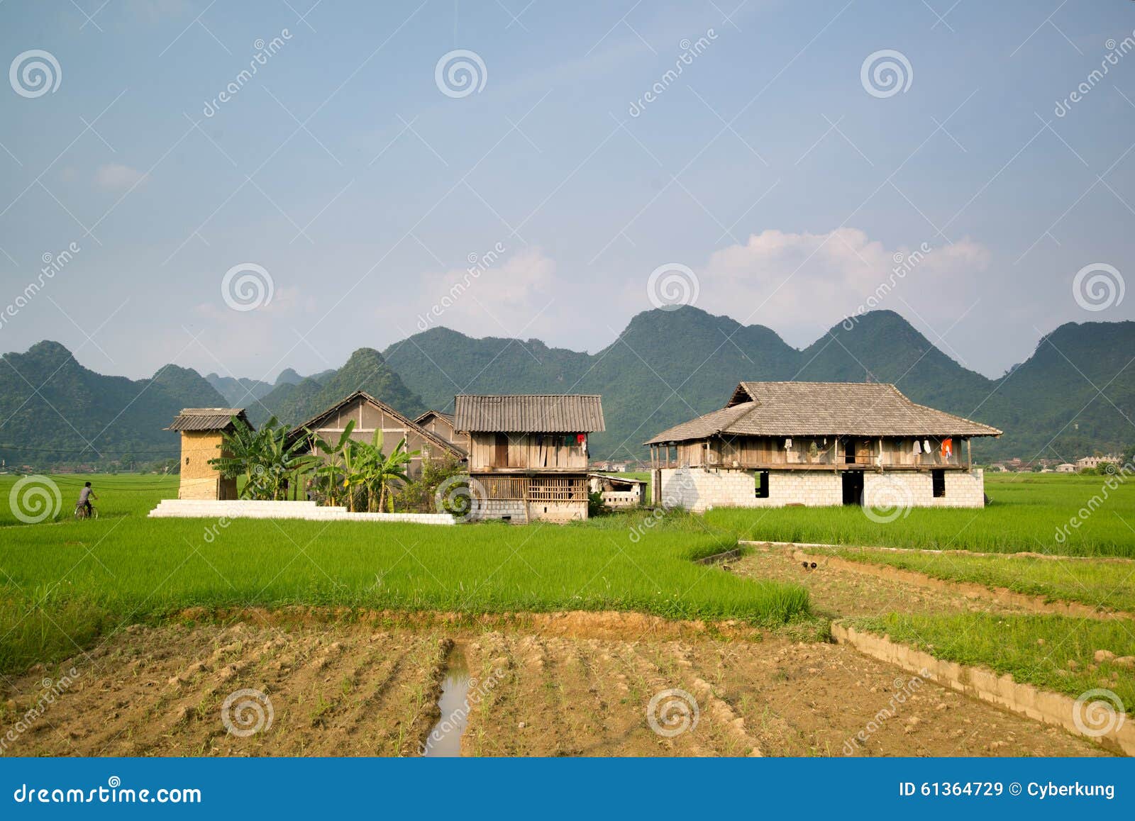 The House in the Rice Field at Vietnam Stock Image - Image of thailand ...