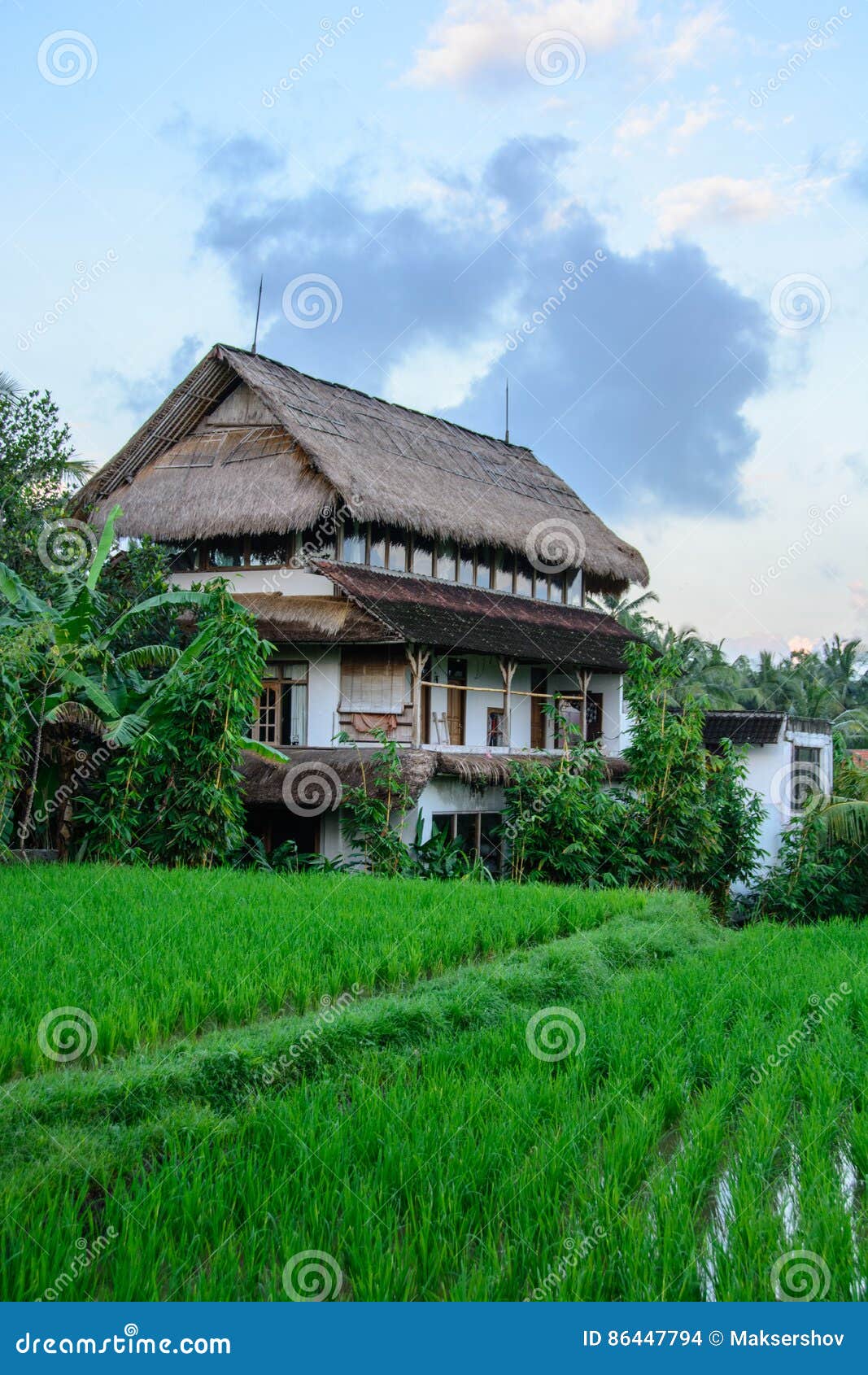 House in Rice Fields of Ubud, Bali, Indonesia Stock Photo - Image of ...