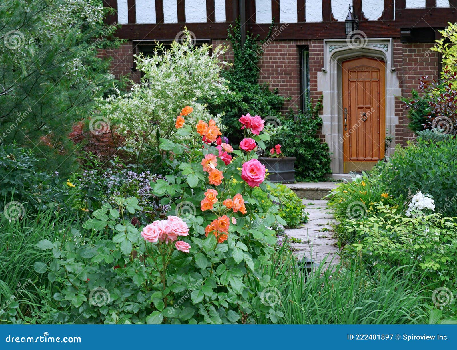 House with rose bushes stock image. Image of home, lush - 222481897